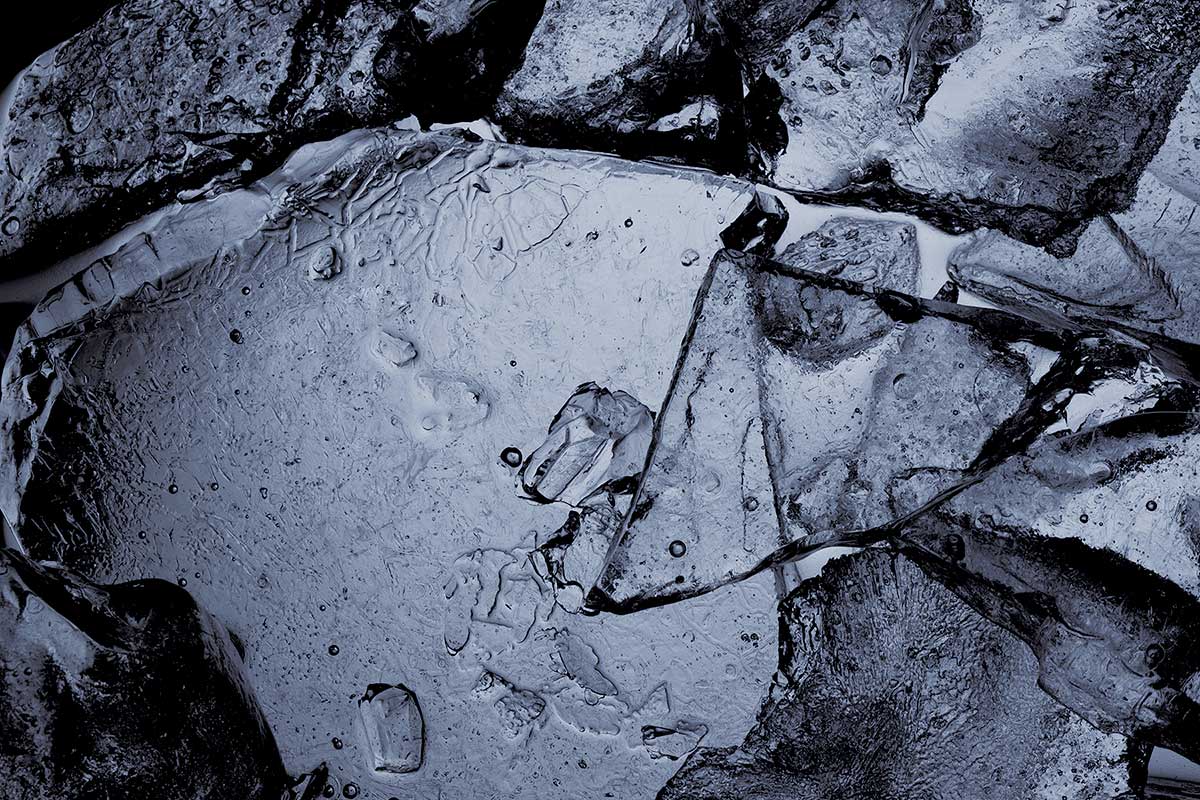 Glacier 51 Toothfish Glacier 51 Toothfish