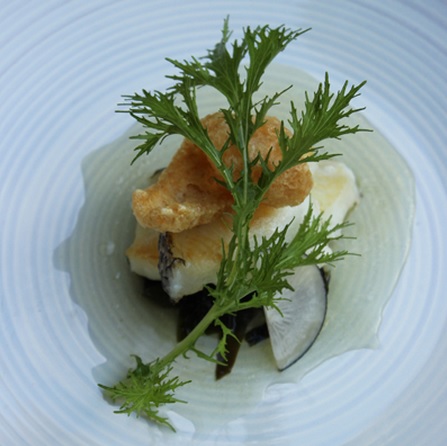 What is being said about Glacier 51 toothfish? - Glacier 51 Toothfish ...